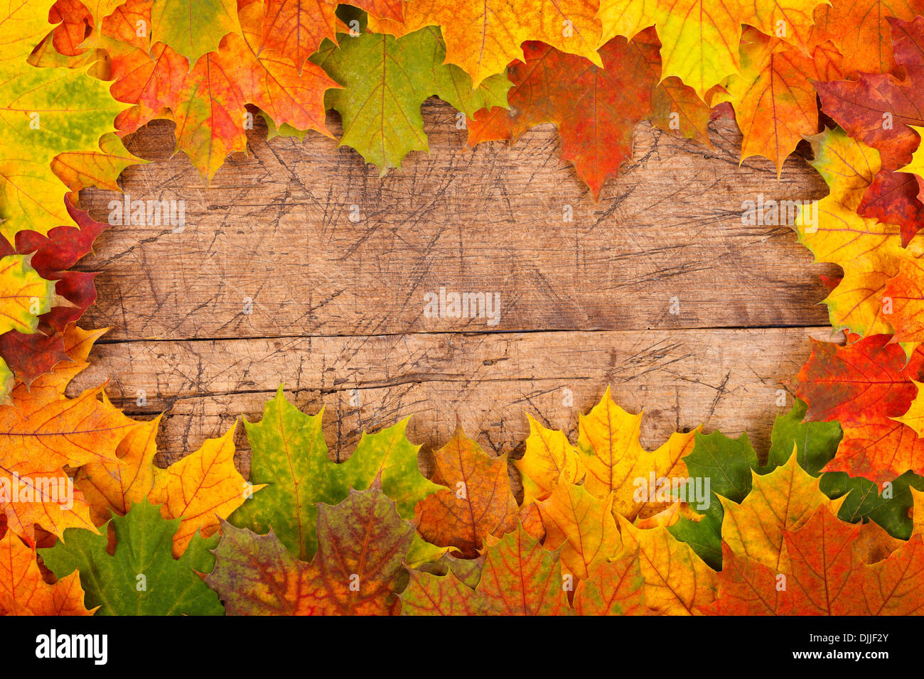Fall maple leaf border on rustic wooden background Stock Photo - Alamy
