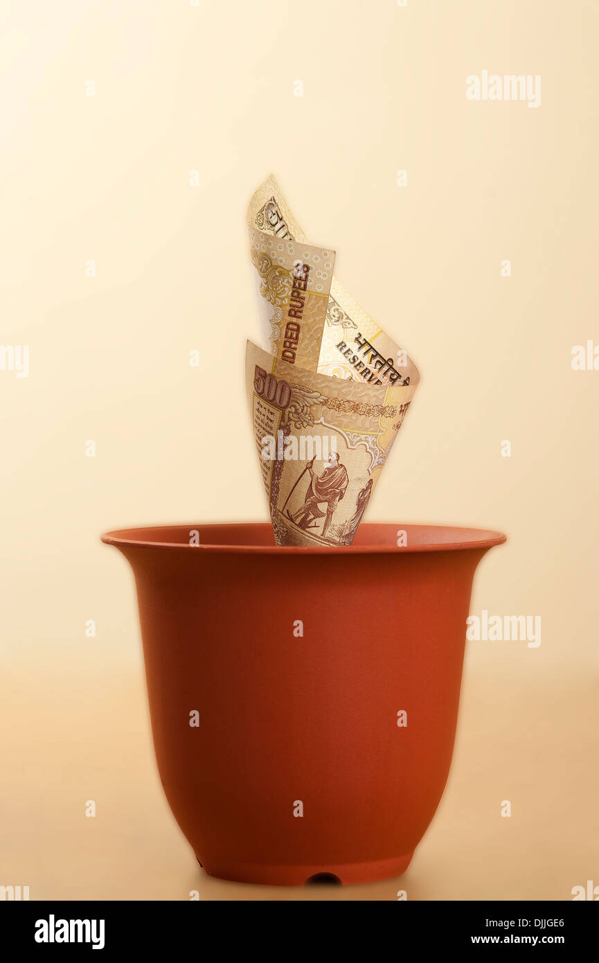 Money Plant - Conceptual image depicting money growing like a plant in ...