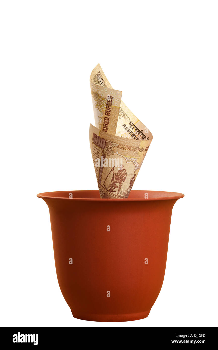 Money Plant - Conceptual image depicting money growing like a plant in ...