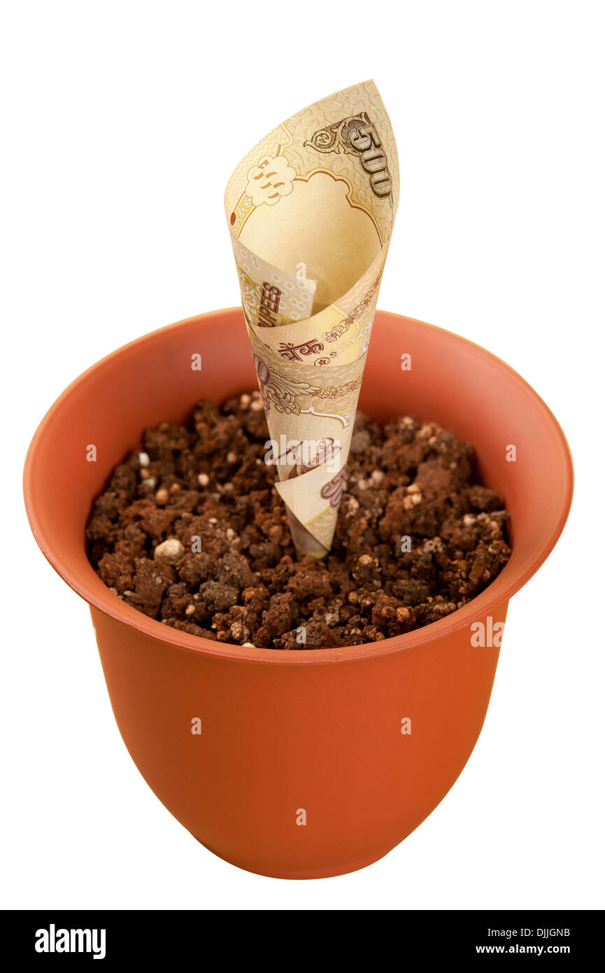Money Plant - Conceptual image depicting money growing like a plant in ...