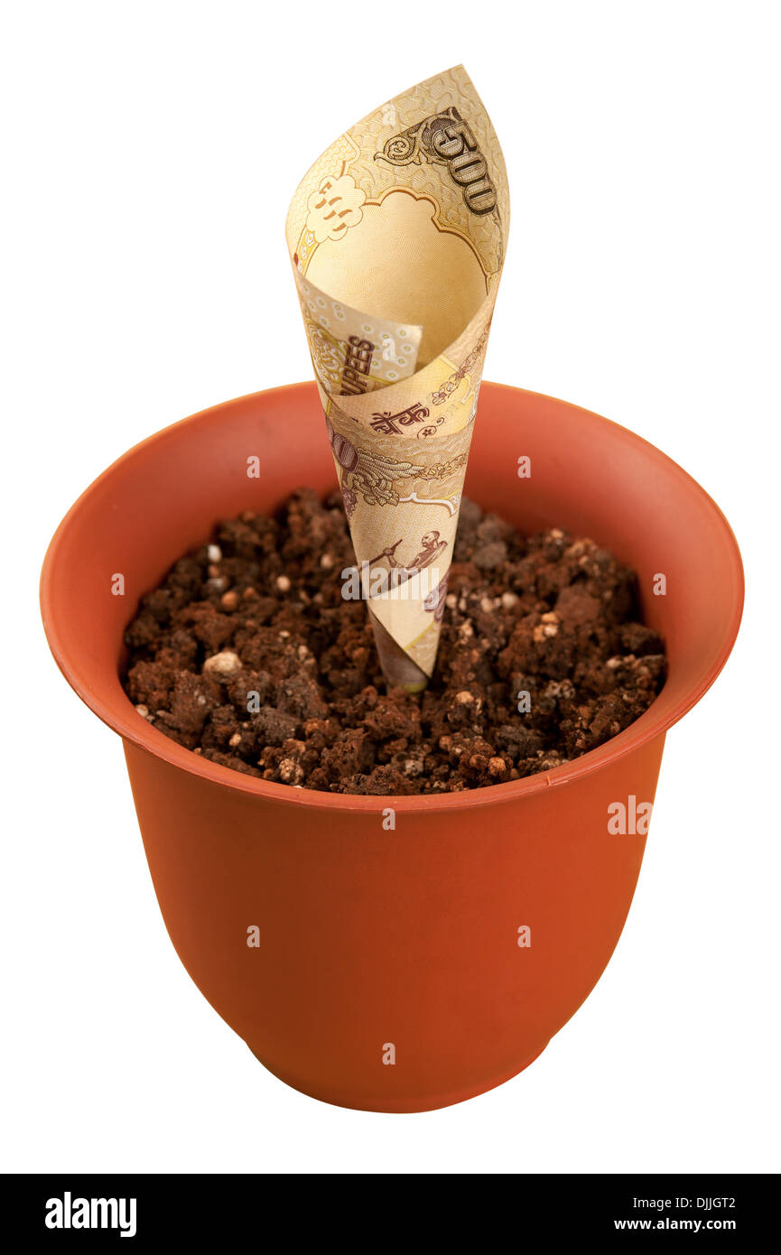 Money Plant - Conceptual image depicting money growing like a plant in ...