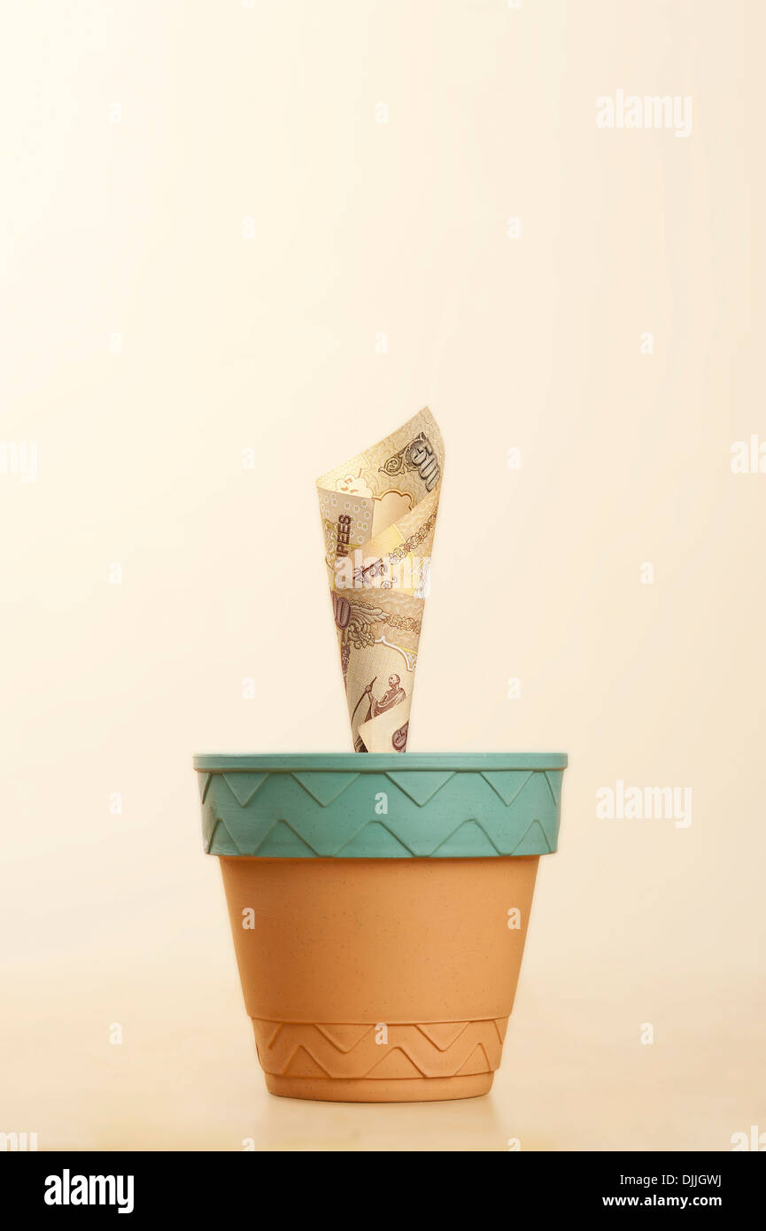 Money Plant - Conceptual image depicting money growing like a plant in ...