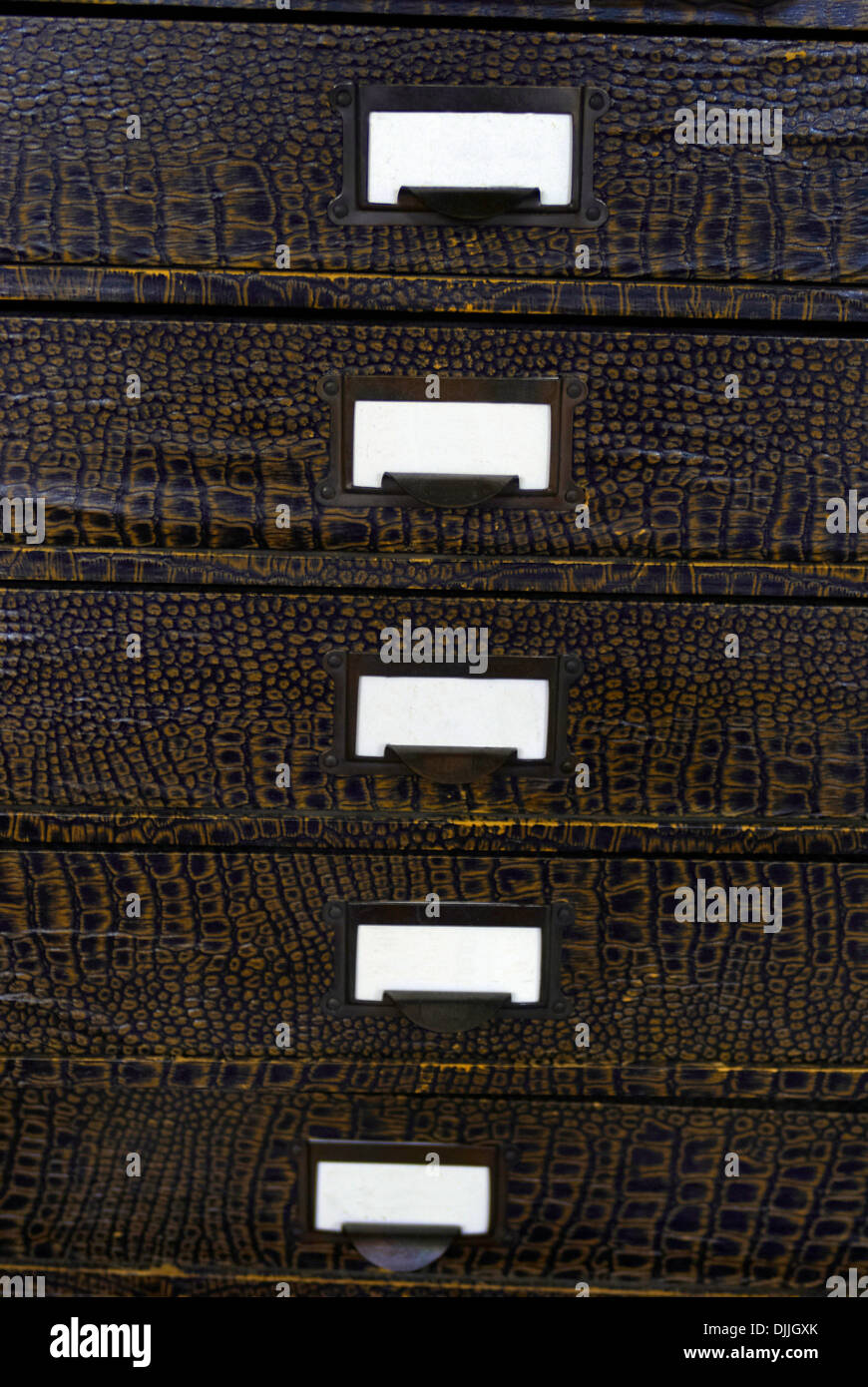 snake skin drawers on antique filing cabinets Stock Photo - Alamy