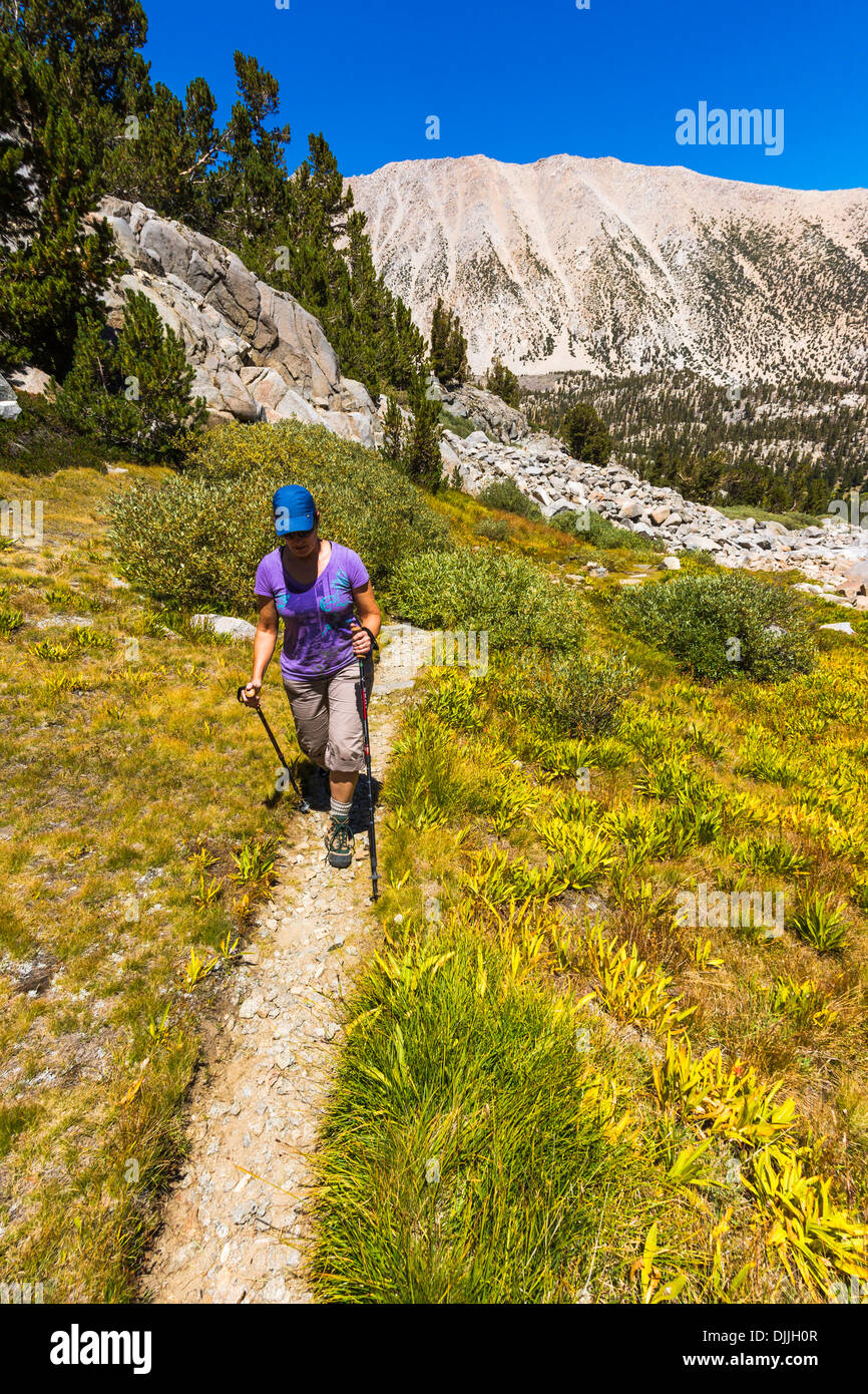 Hiker in Sam Mack Meadow under the Palisades, John Muir Wilderness ...