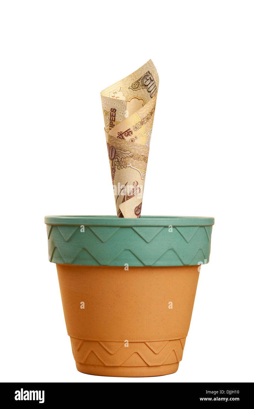 Money Plant - Conceptual image depicting money growing like a plant in ...