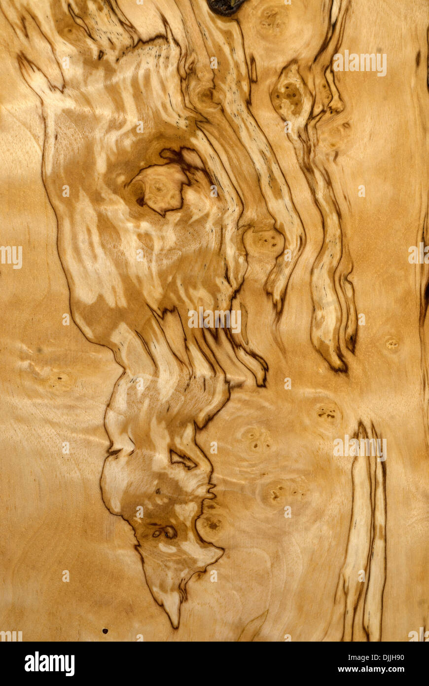 Section of wood grain Stock Photo - Alamy