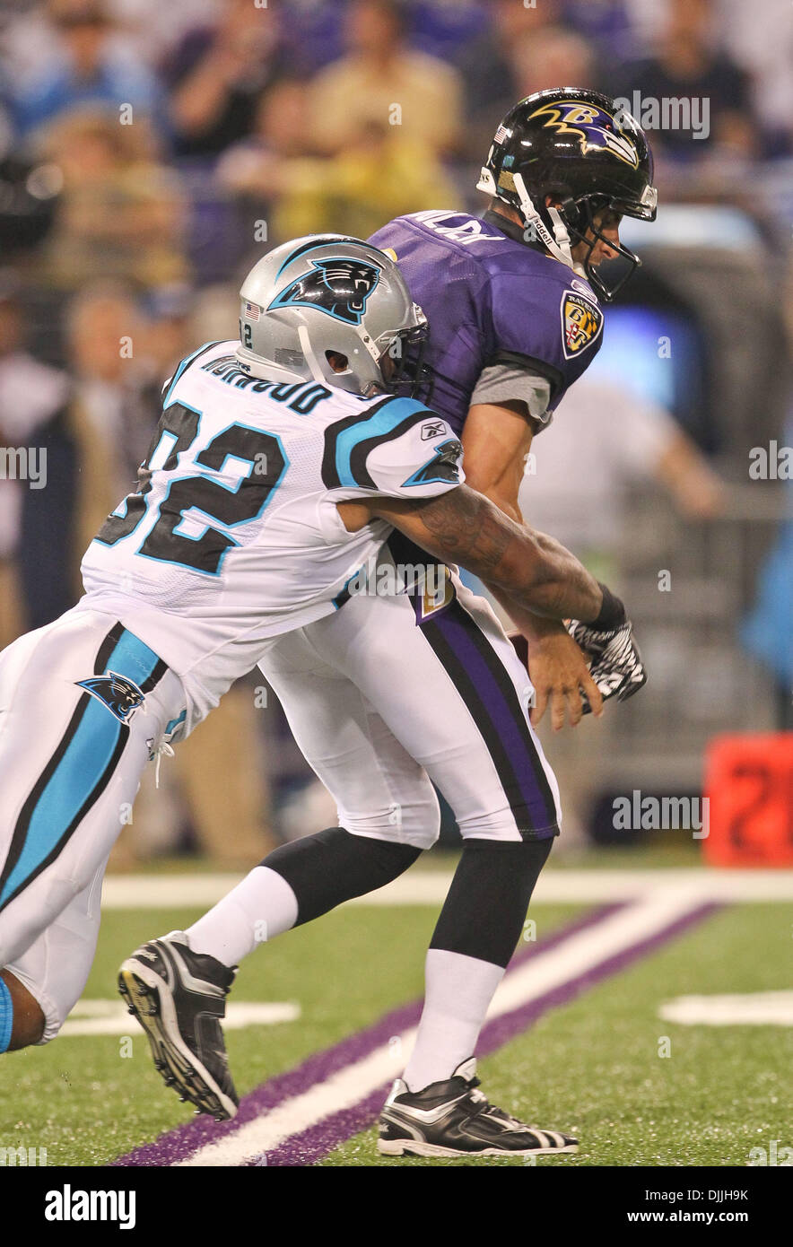 Marc panther hi-res stock photography and images - Alamy