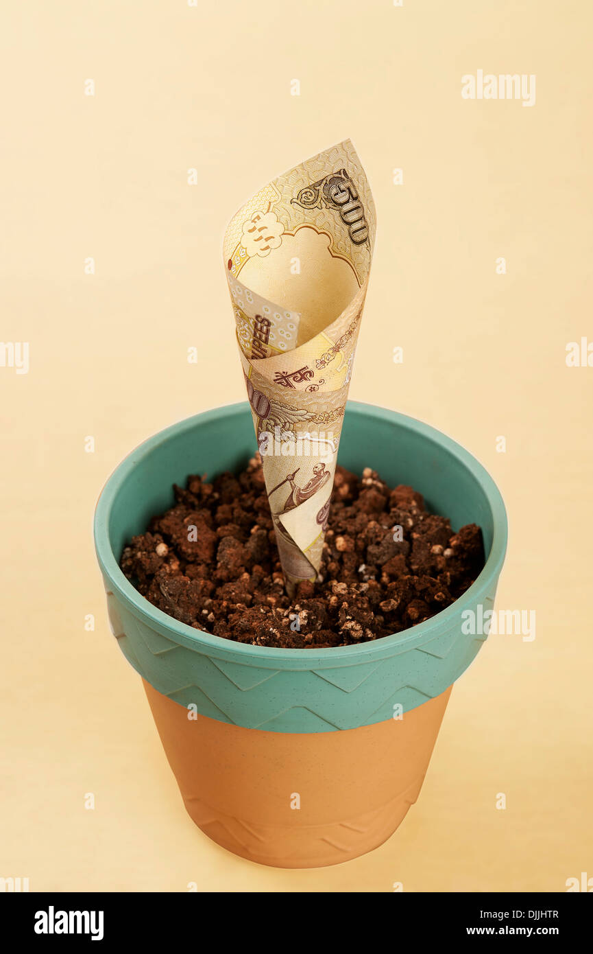 Money Plant - Conceptual image depicting money growing like a plant in ...