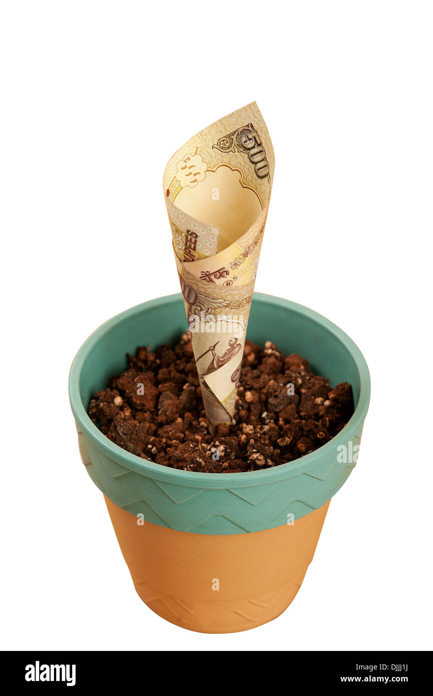 Money Plant - Conceptual image depicting money growing like a plant in ...