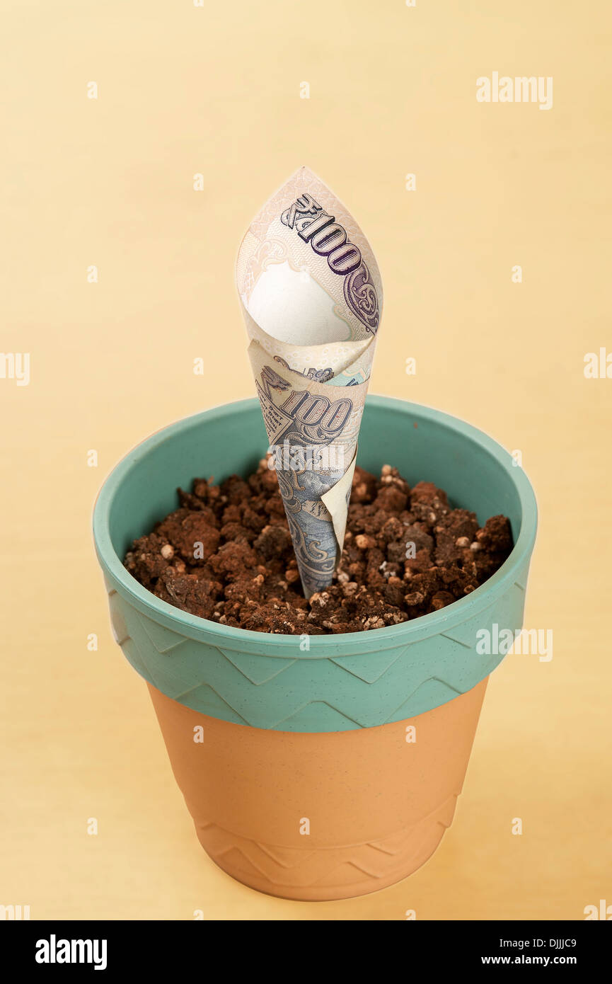 Money Plant - Conceptual image depicting money growing like a plant in ...