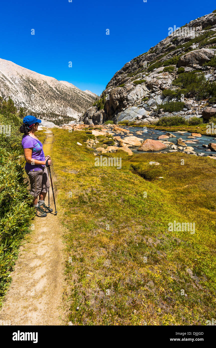 Hiker in Sam Mack Meadow under the Palisades, John Muir Wilderness ...