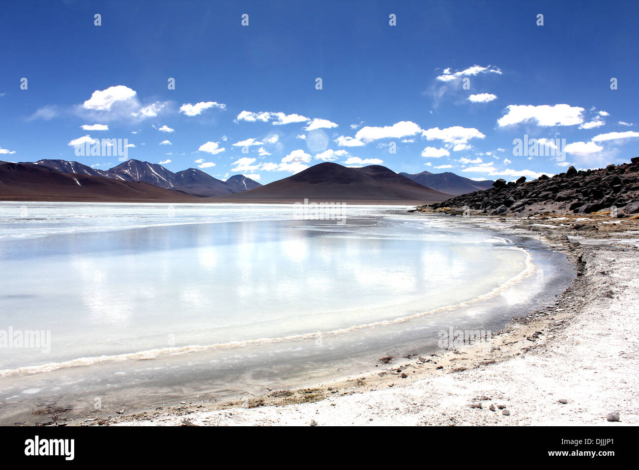 Laguna Blanco in Bolivia Stock Photo - Alamy