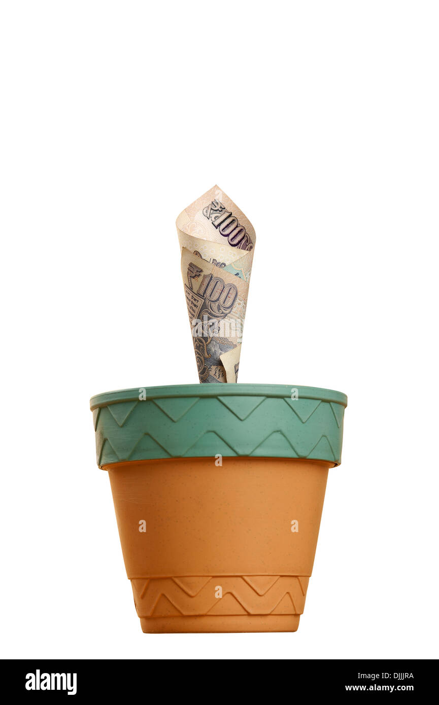 Money Plant - Conceptual image depicting money growing like a plant in ...