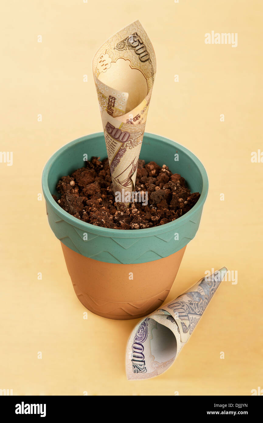 Money Plant - Conceptual image depicting money growing like a plant in ...