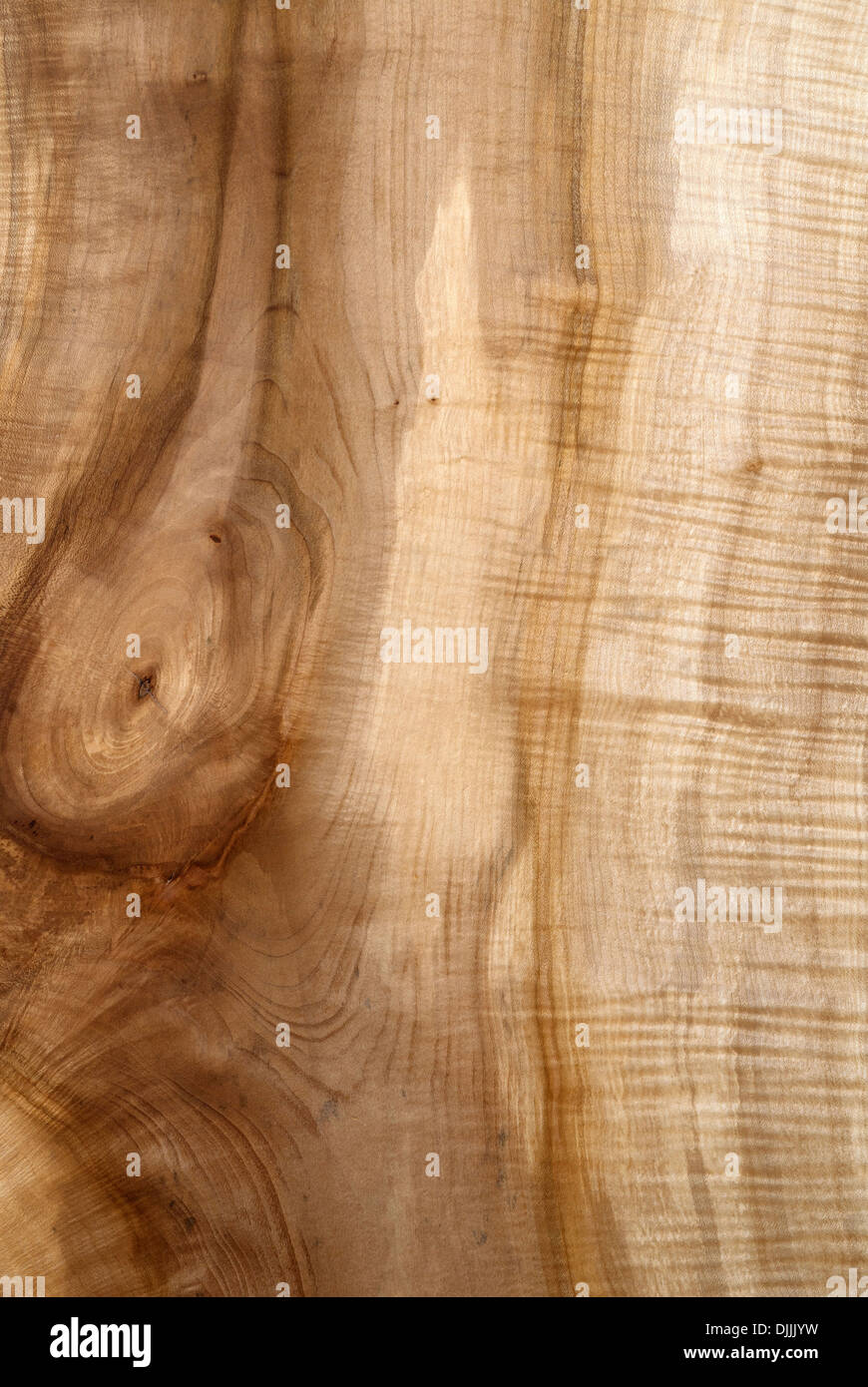 Section of wood grain Stock Photo - Alamy