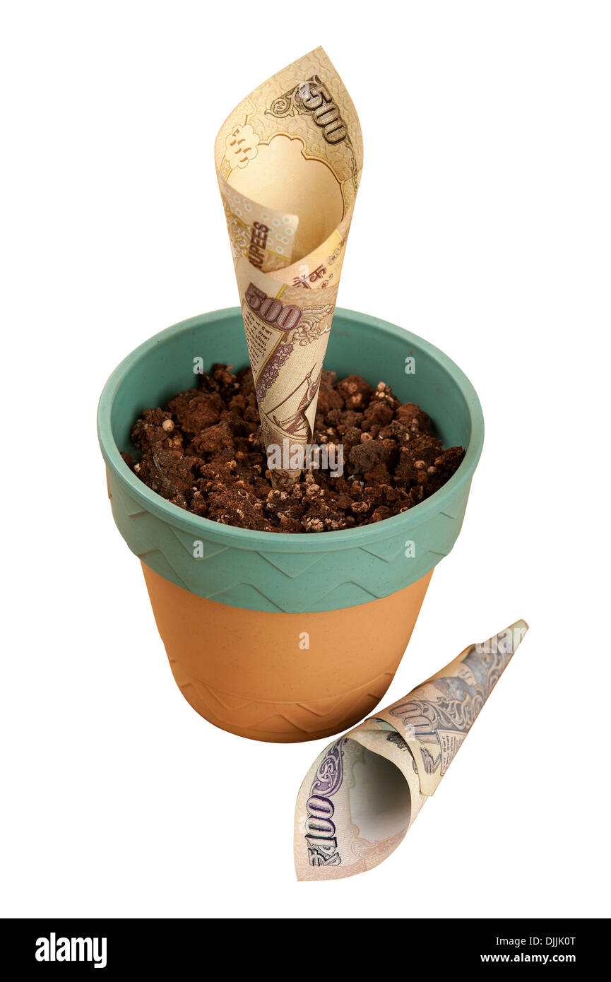 Money Plant - Conceptual image depicting money growing like a plant in ...