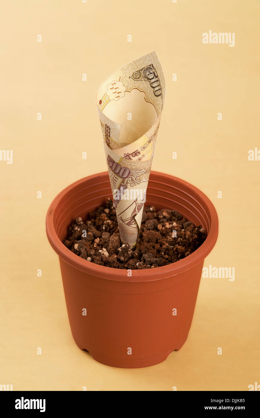 Money Plant - Conceptual image depicting money growing like a plant in ...