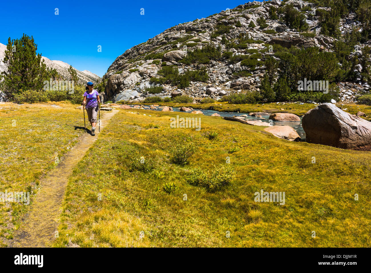 Hiker in Sam Mack Meadow under the Palisades, John Muir Wilderness ...