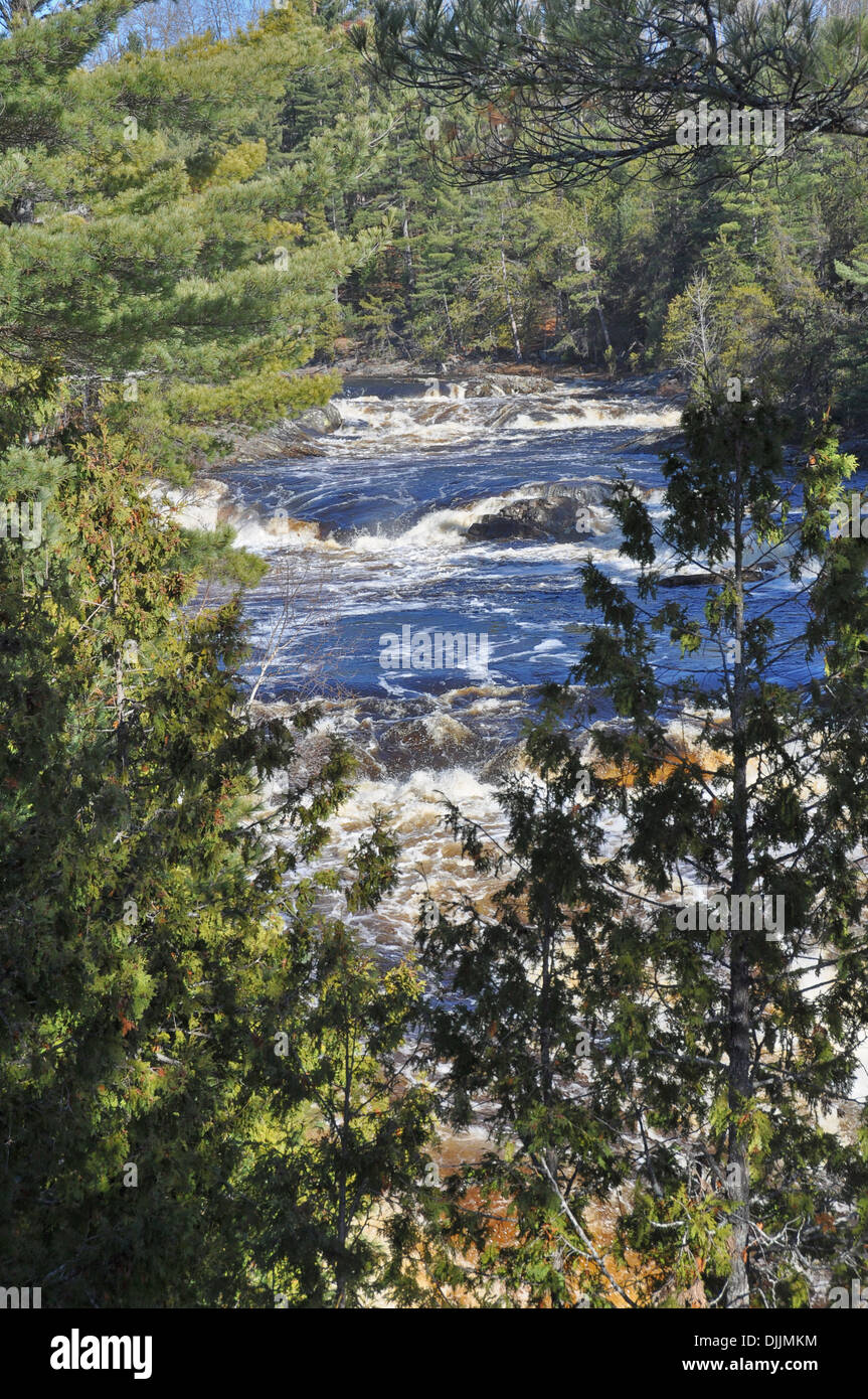 Forest river in ontario canada hi-res stock photography and images - Alamy
