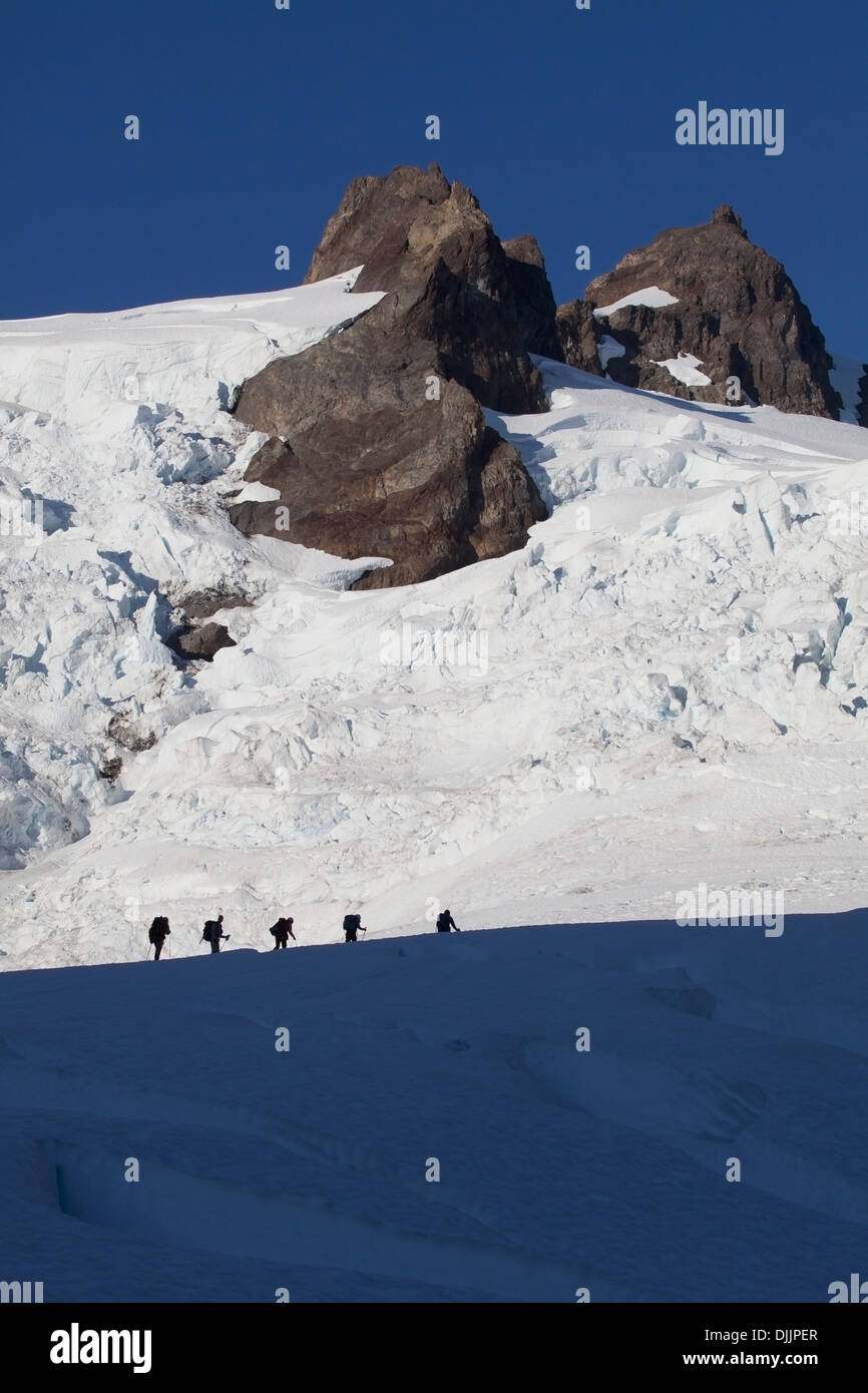 Climbers Ascending Glacier On Mount Olympus, Olympic Mountains, Olympic ...