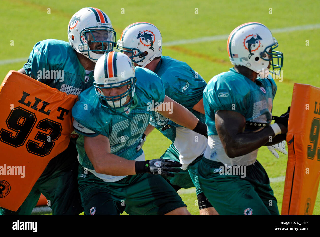 Dolphin training camp hi-res stock photography and images - Alamy