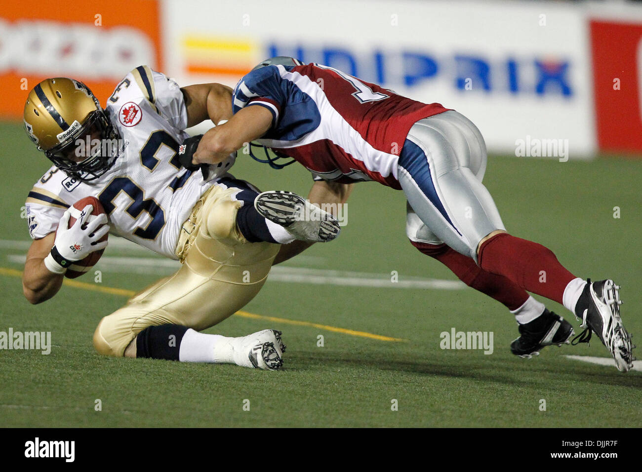 Chip Cox High Resolution Stock Photography and Images - Alamy