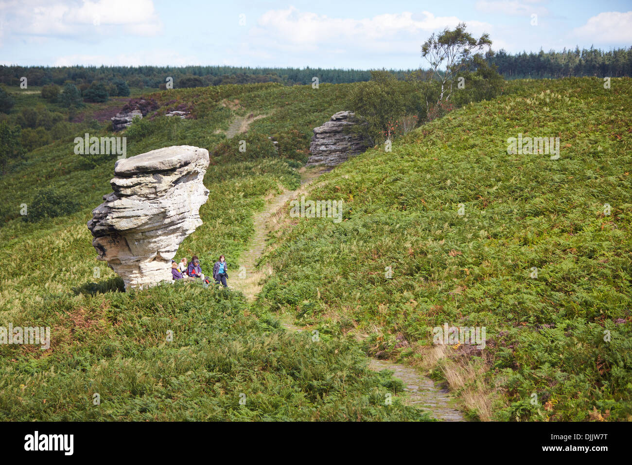 Bridestone rock formation in dalby hi-res stock photography and images ...