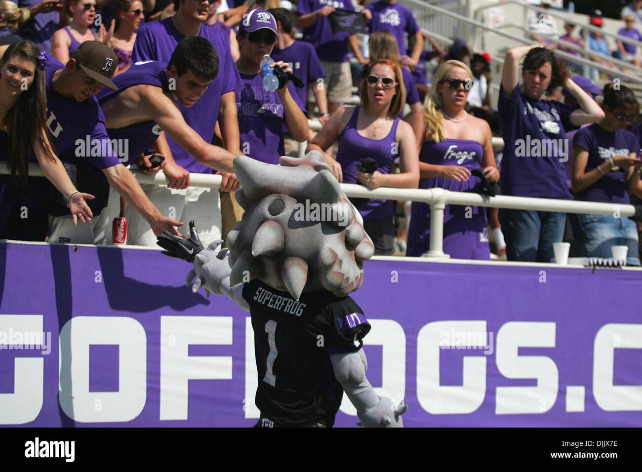 Tcu horned frogs mascot hi-res stock photography and images - Alamy