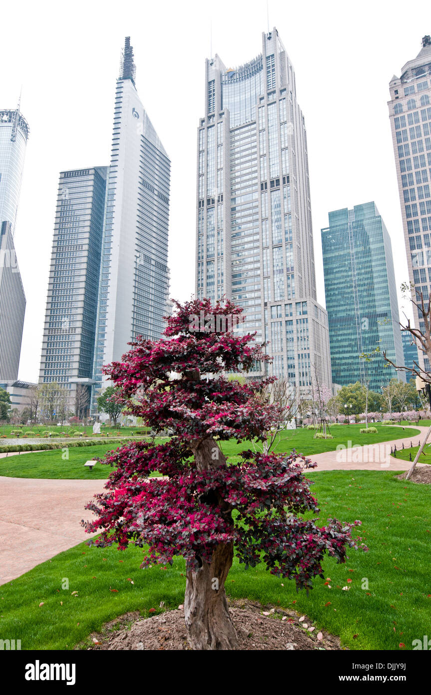 Bank of Shanghai Headquarters (right) and Bocom Financial Towers seen ...