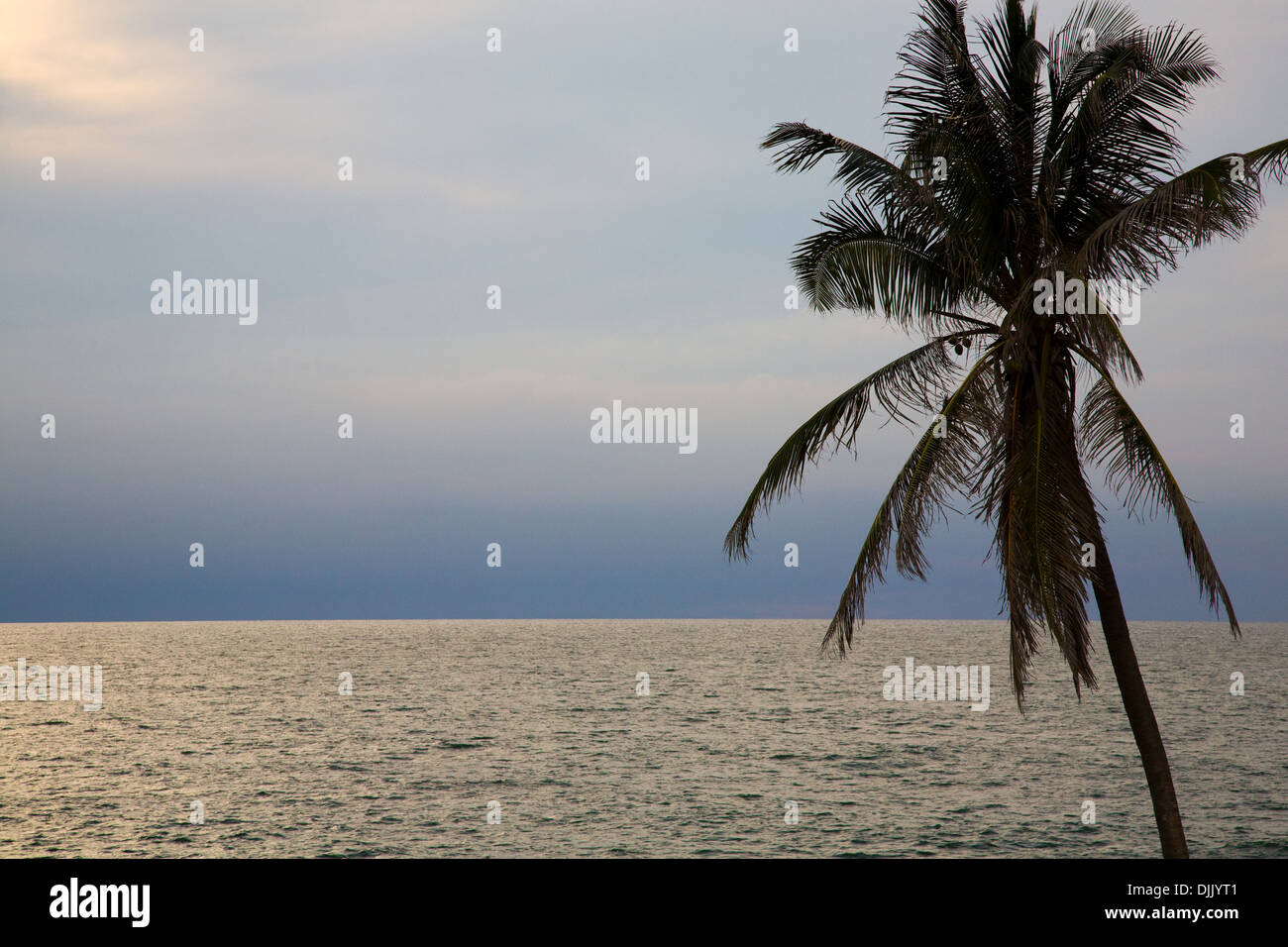 Palm paradise sea hi-res stock photography and images - Alamy