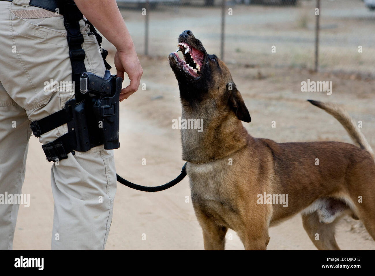 Aug. 22, 2010 - San Diego, California, USA - The K-9 Military Working ...
