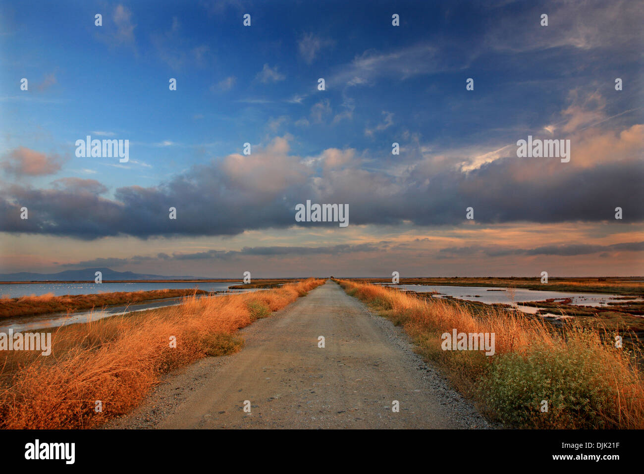 At the Delta of Evros river, Thrace, Greece Stock Photo - Alamy