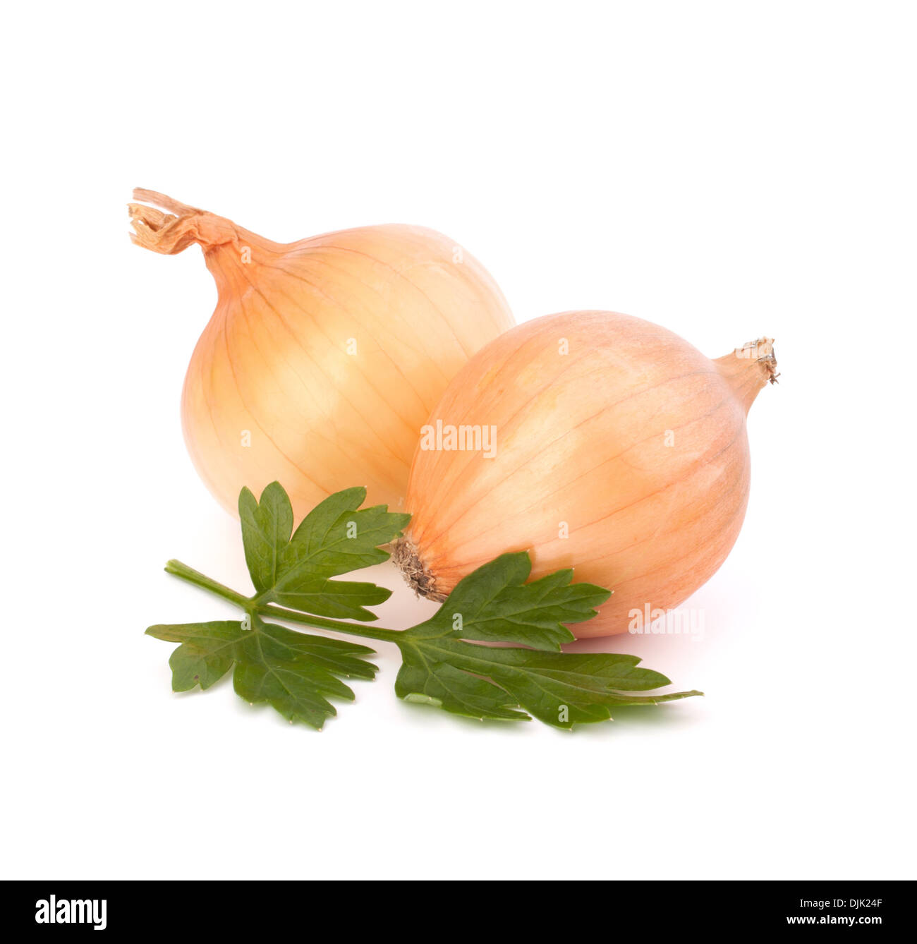 Onion isolated on white background Stock Photo - Alamy