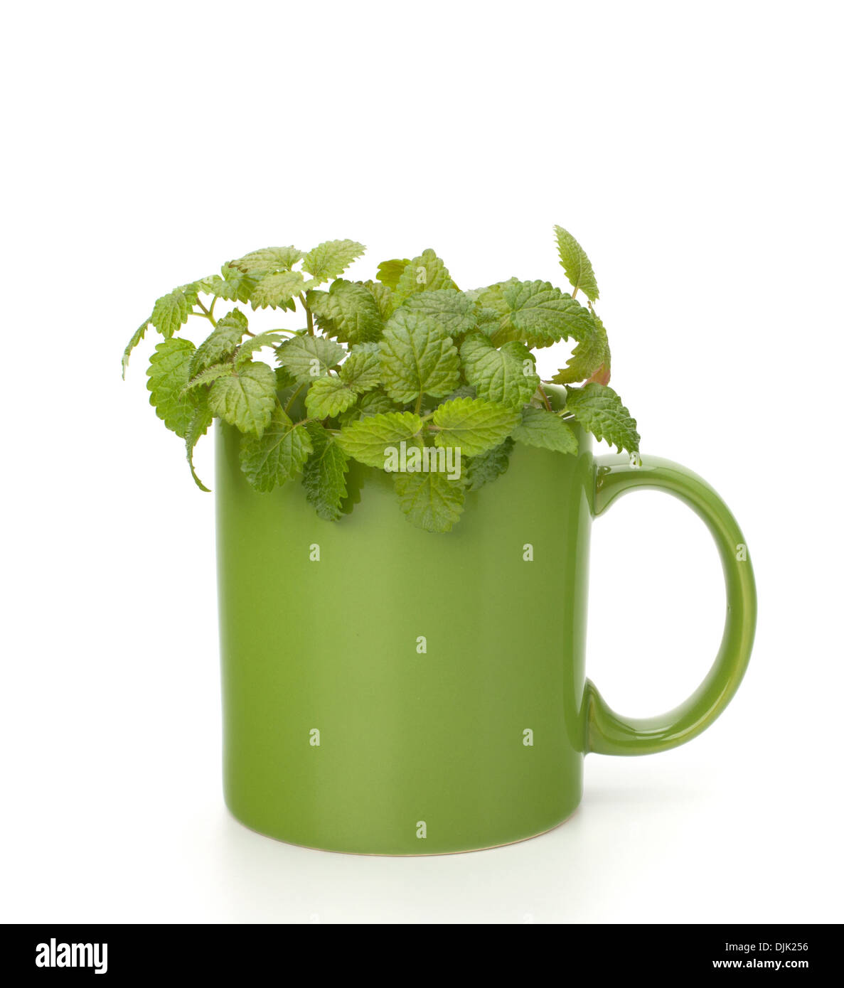 Herbal peppermint tea cup isolated on white background. Alternative ...