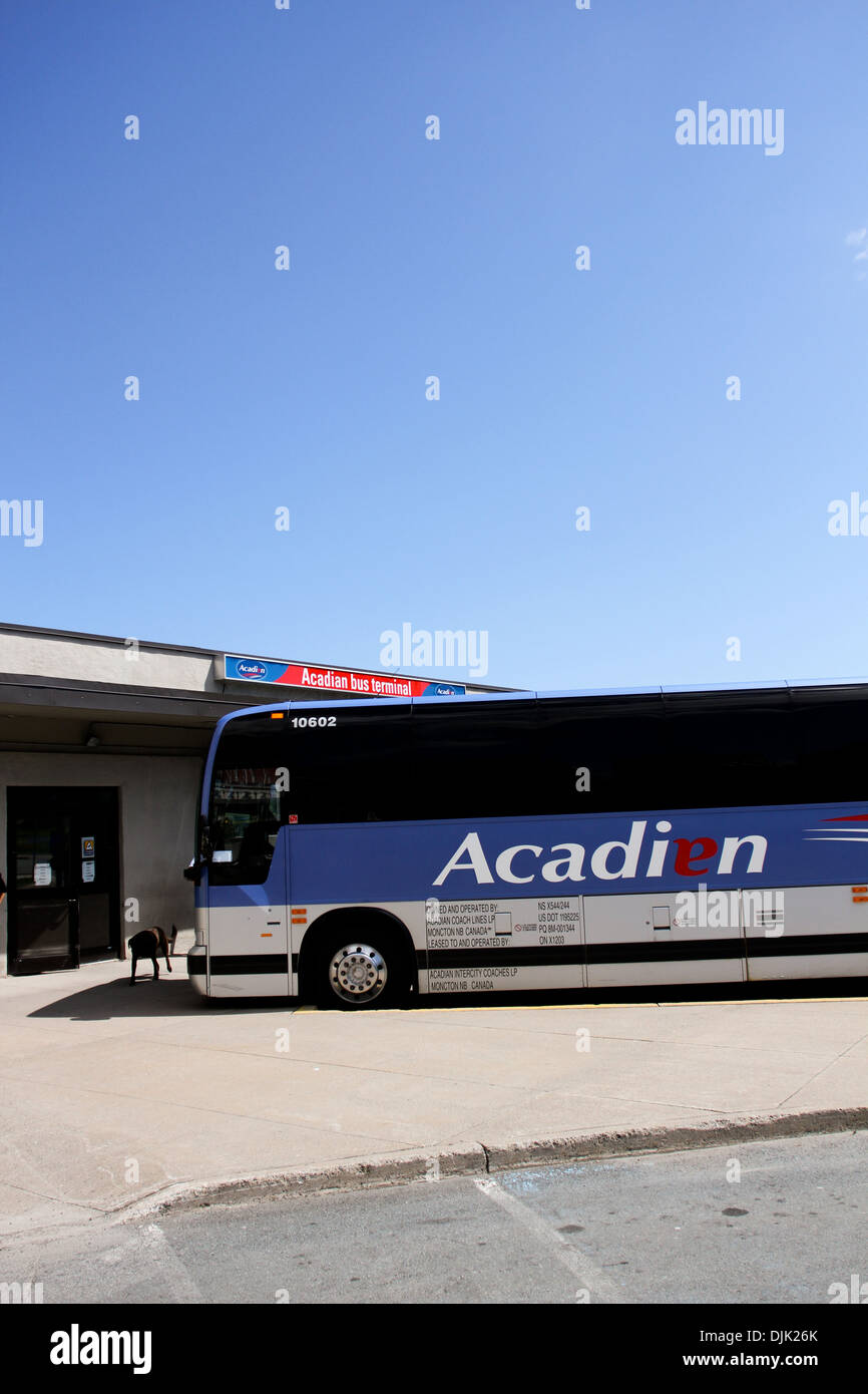 Halifax transit bus hi-res stock photography and images - Alamy