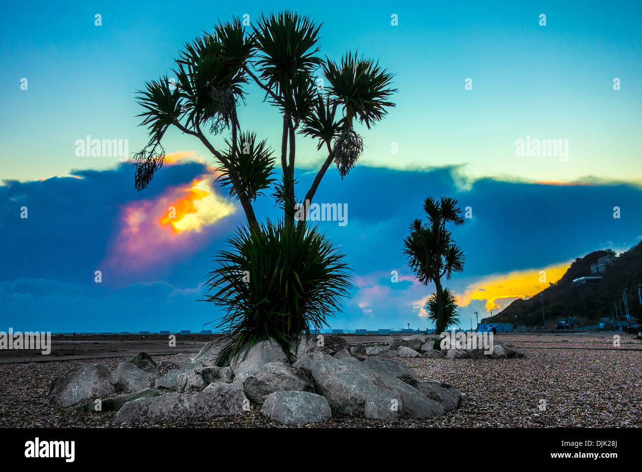 Folkestone Beach Palm Trees Sunset Kent England. Creative - enhanced ...