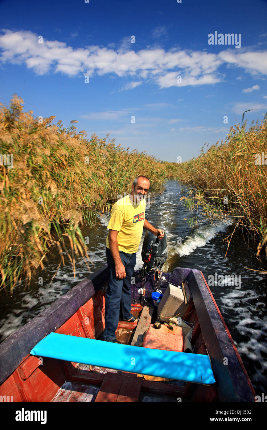 Boat ride at the Delta of Evros river, Thrace (Thraki), Greece Stock ...