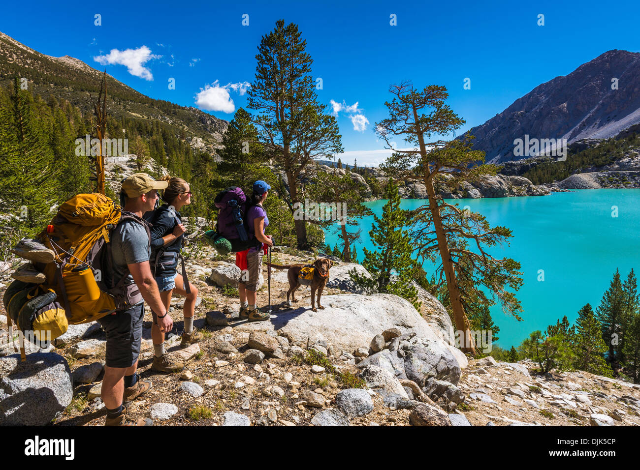 Female backpacker backpacking dog hi-res stock photography and images ...