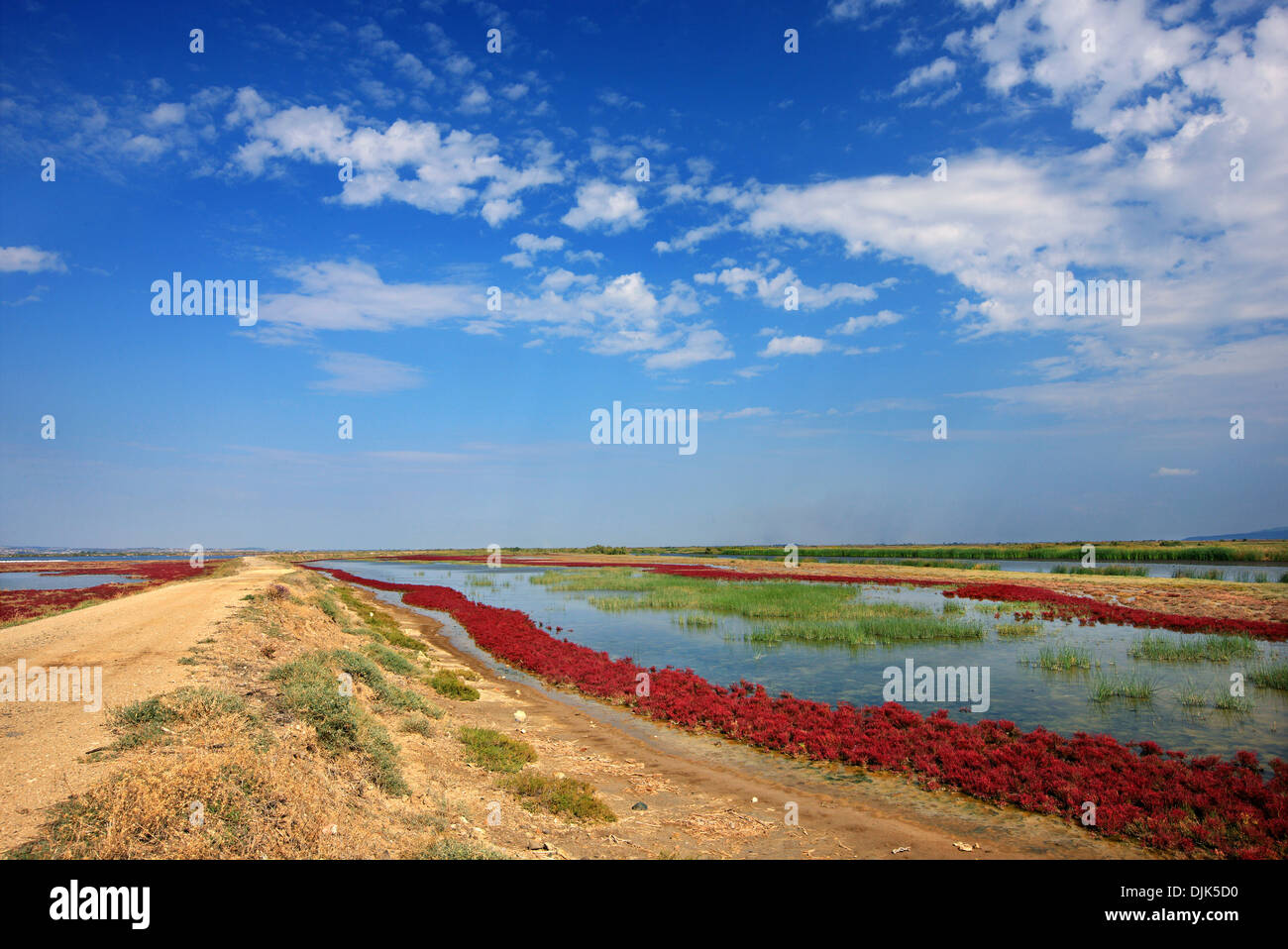 At the Delta of Evros river, Thrace, Greece Stock Photo - Alamy