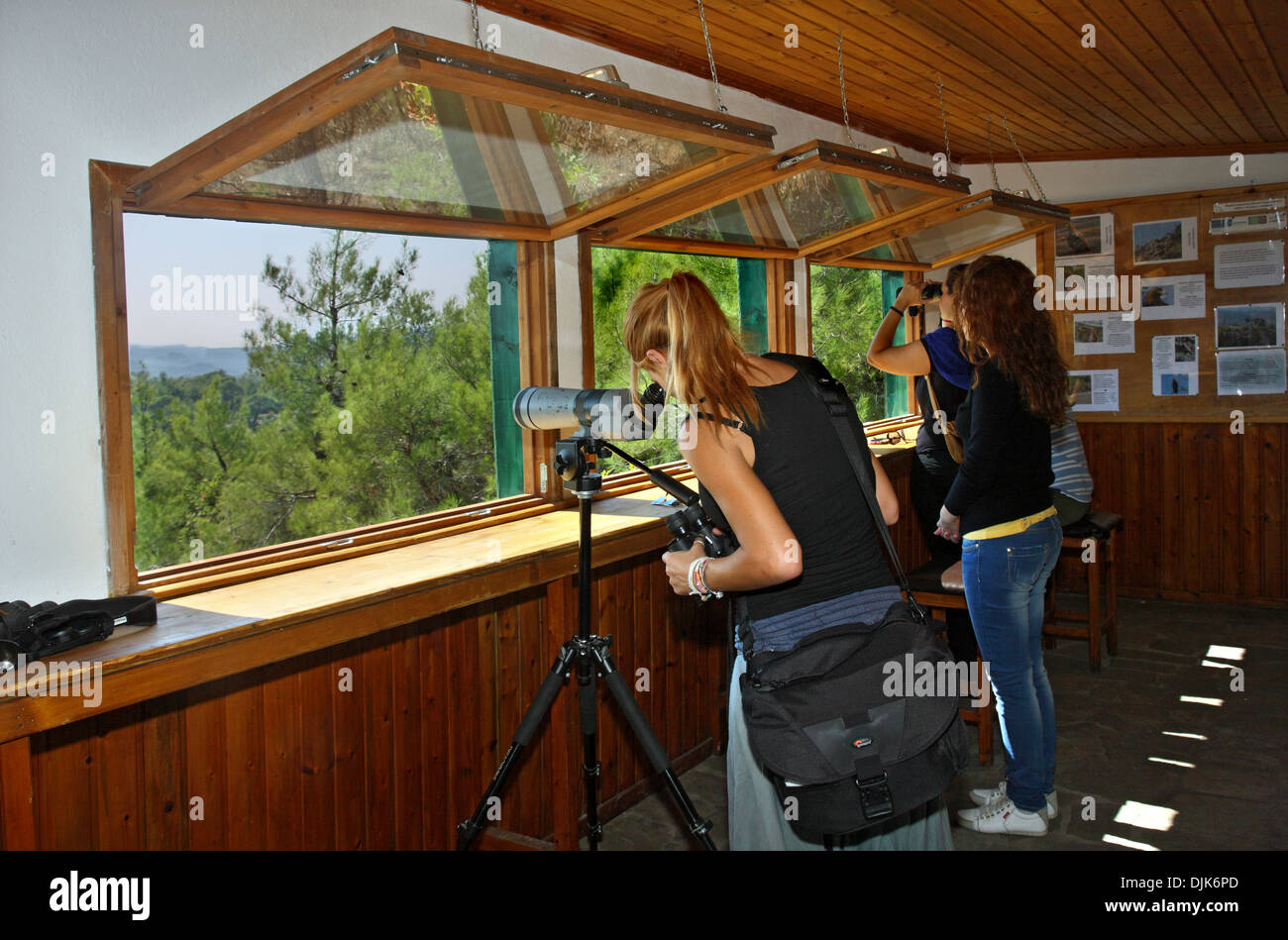 The vulture observatory at the famed forest reserve of Dadia, Evros ...