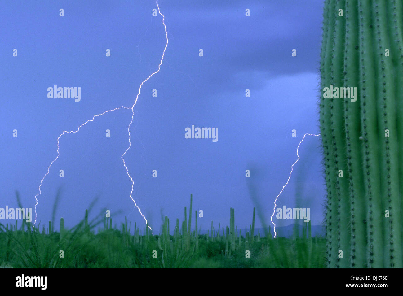 Sep. 01, 2010 - Phoenix, Arizona, United States of America - Lightning ...