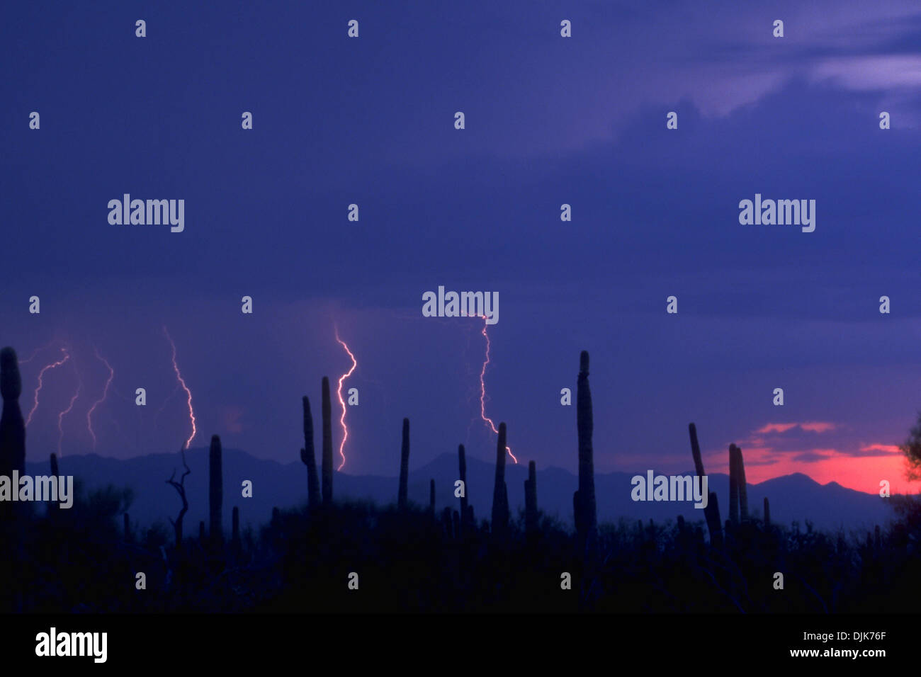 Sep. 01, 2010 - Phoenix, Arizona, United States of America - Lightning ...