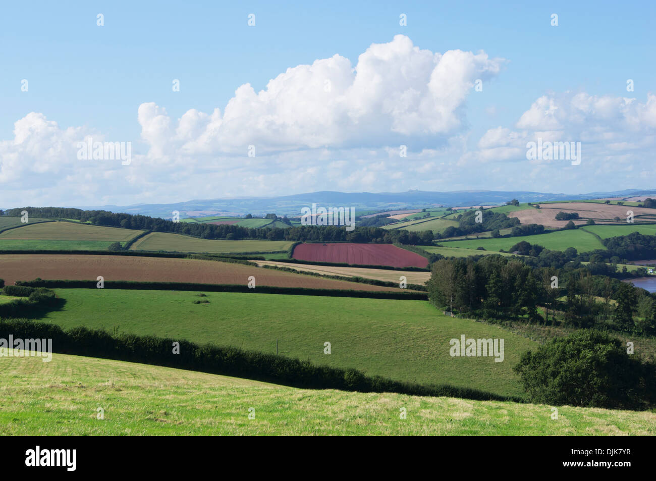 Divided Farmland; Devon, England Stock Photo - Alamy