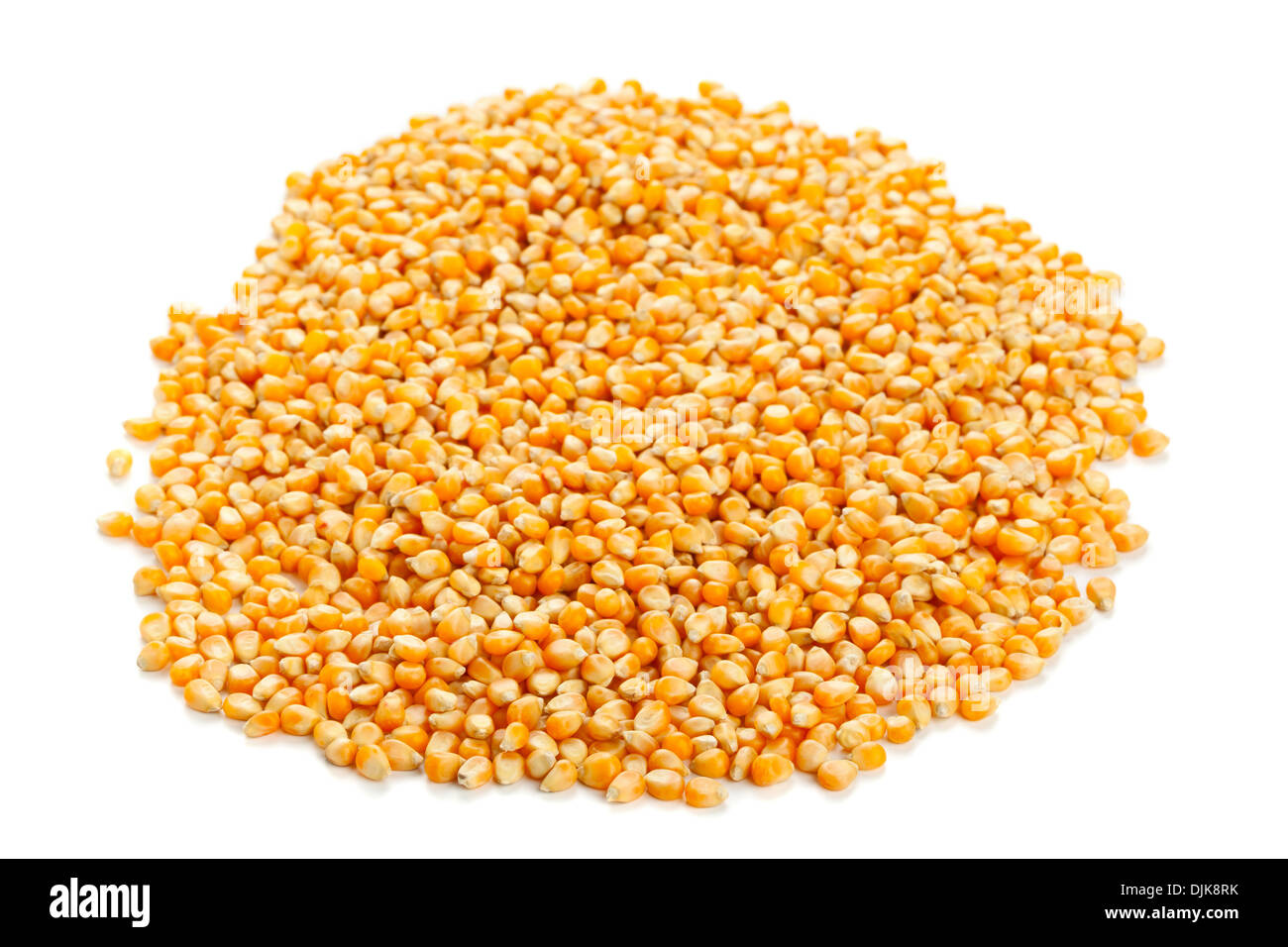 Heap of dried corn kernels on white background Stock Photo - Alamy