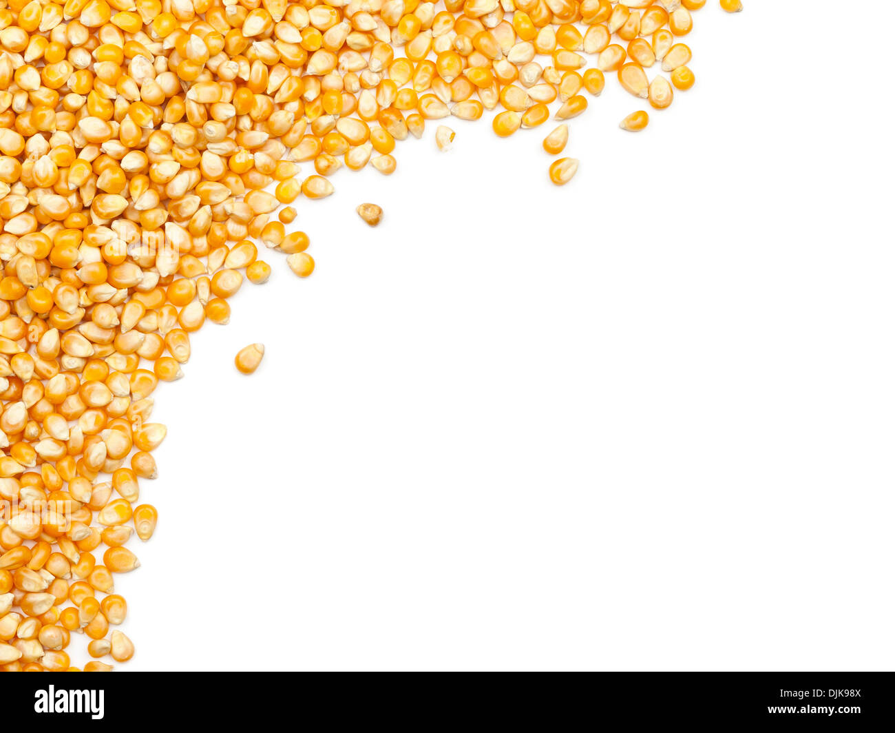 Dried raw corn kernels border on white background Stock Photo - Alamy