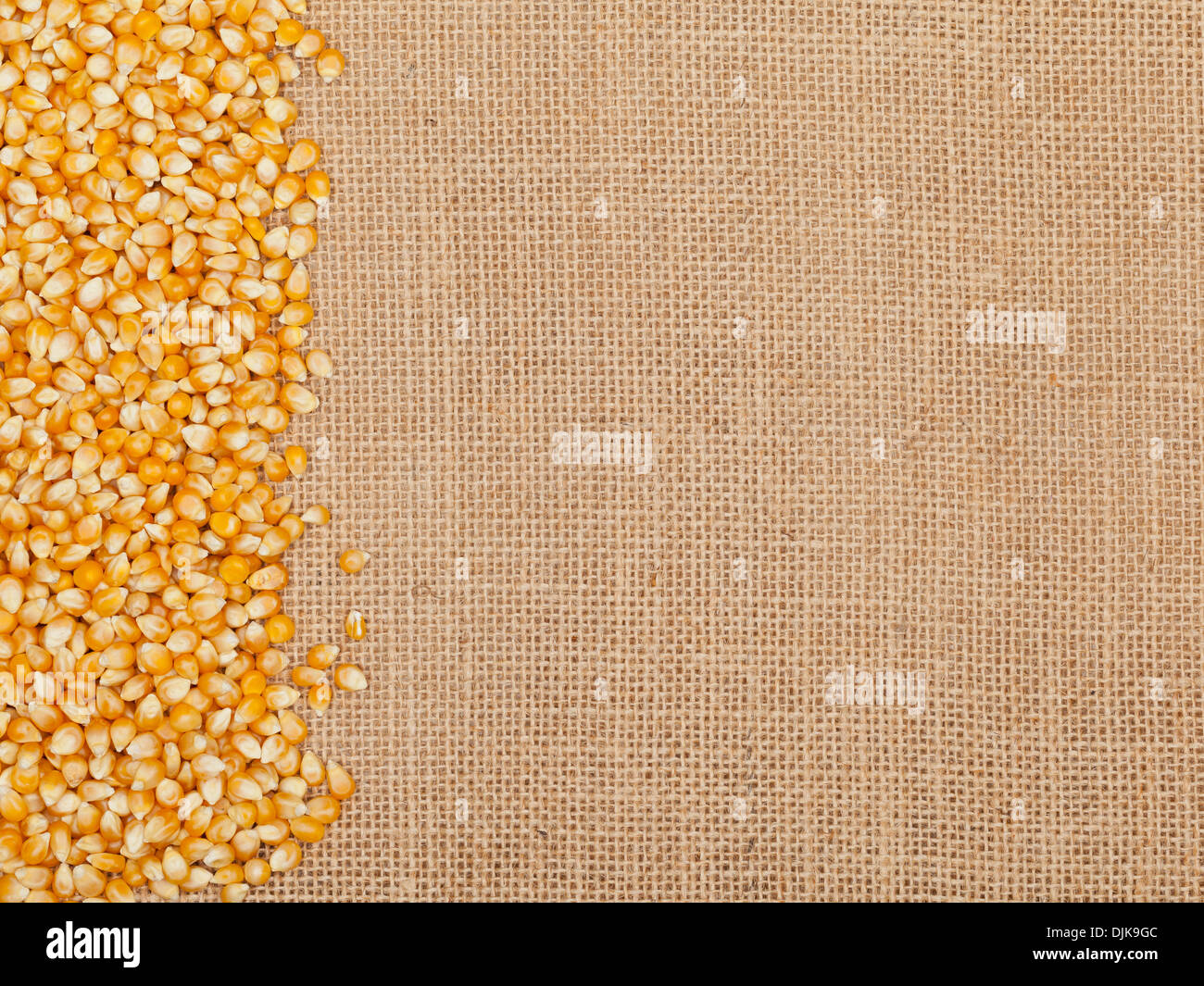 Dried raw corn kernels border on burlap background Stock Photo - Alamy
