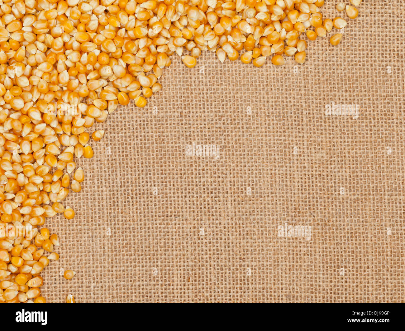 Dried raw corn kernels border on burlap background Stock Photo - Alamy