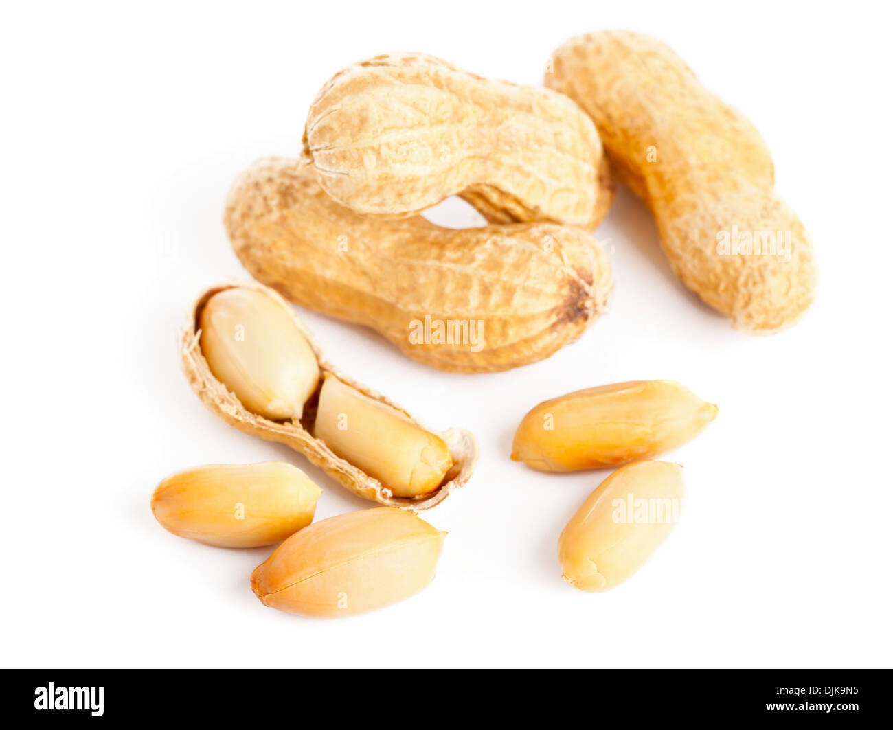 Roasted peanuts whole and opened on white background Stock Photo - Alamy