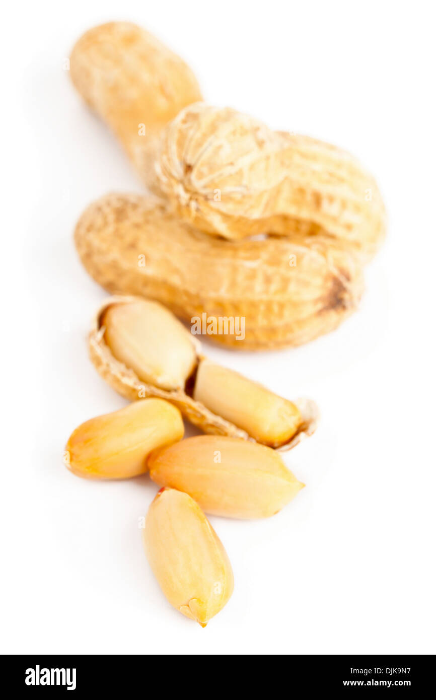 Roasted peanuts whole and opened on white background Stock Photo - Alamy