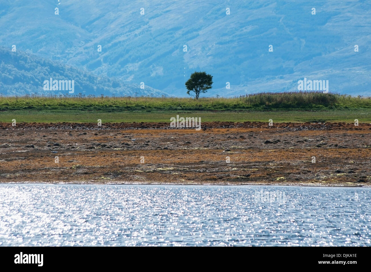 Landscape Of River, Field With Tree And Mountain; Scotland Stock Photo ...